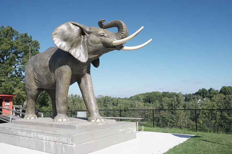 Jumbo the Elephant – Public History in Practice